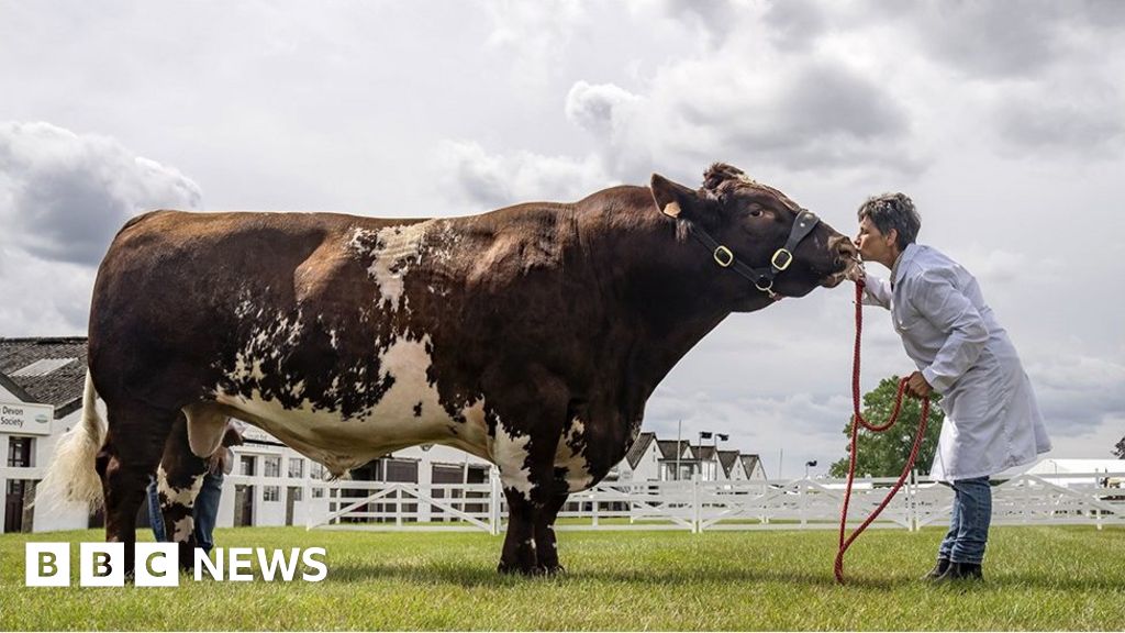 In pictures: The Great Yorkshire Show 2023