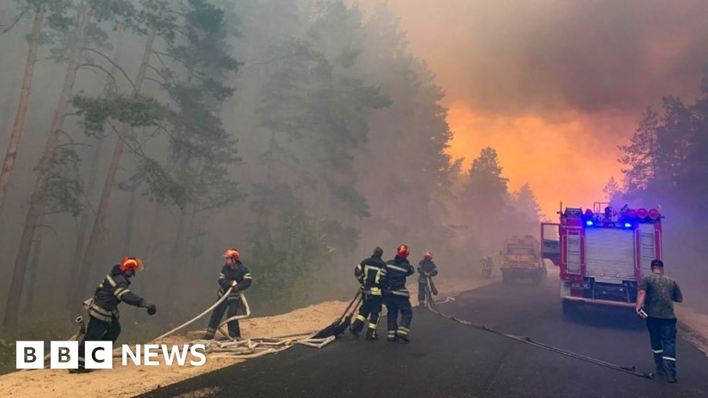 Forest fires kill at least six in Ukraine's Luhansk region - BBC News