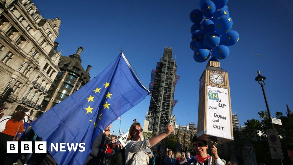 Brexit: Sam Gyimah says another referendum may be only option - BBC News