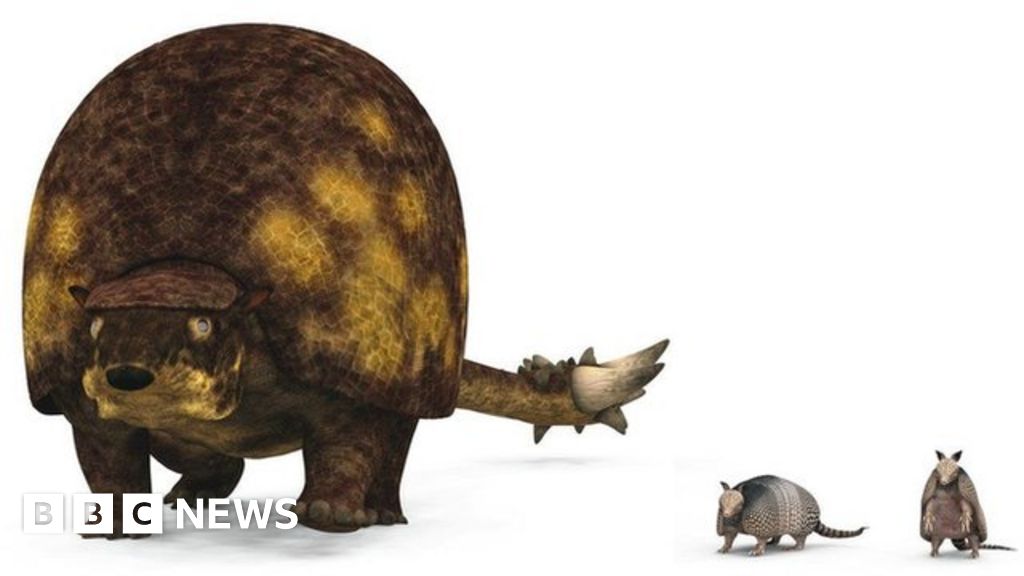Monstrous fossils 'were armadillos', says DNA evidence - BBC News