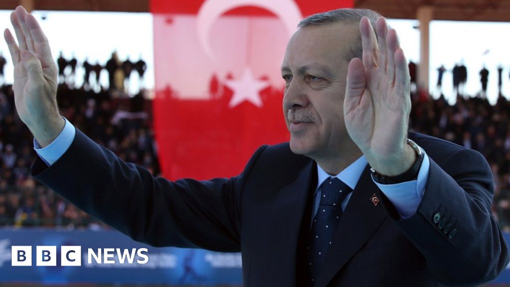 Erdogan vows Turkey will 'review relations with EU' - BBC News