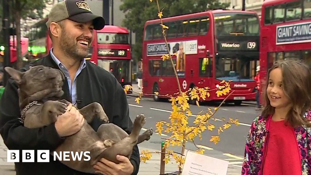Dad risks arrest to plant Oxford Street tree - BBC News