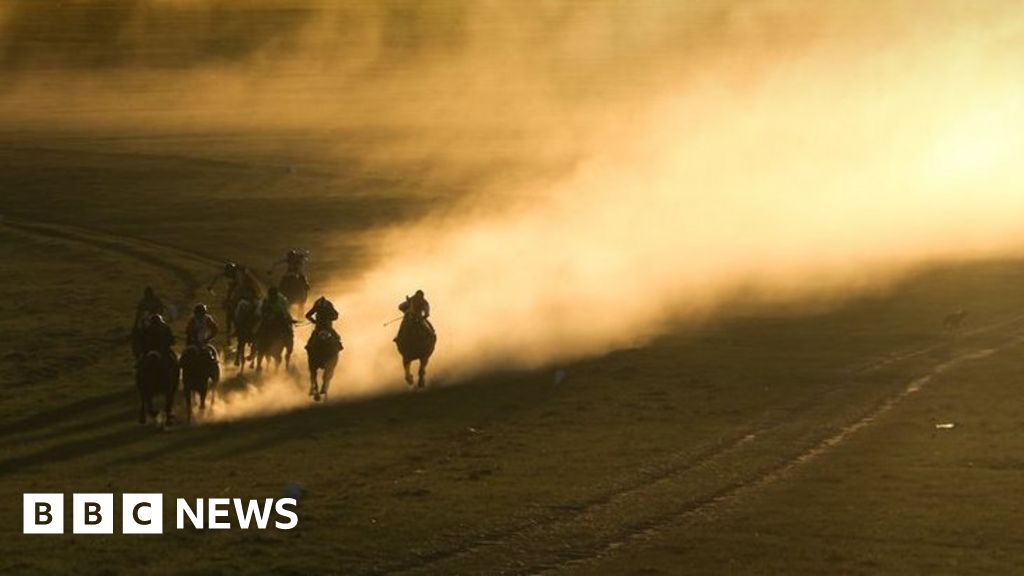 Traditional horse-racing in South Africa's Eastern Cape - BBC News