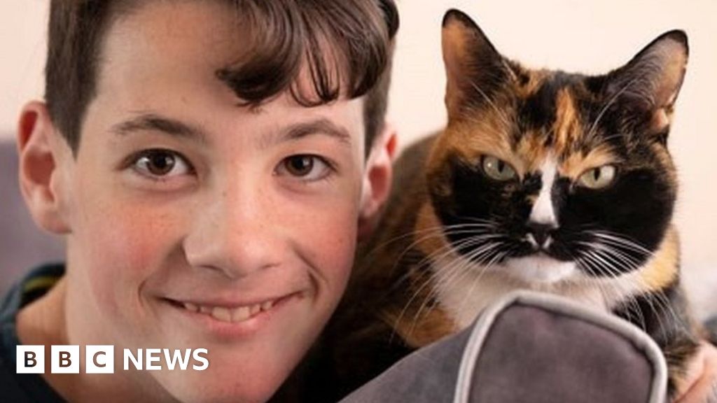 Autistic boy's cat companion through to awards final
