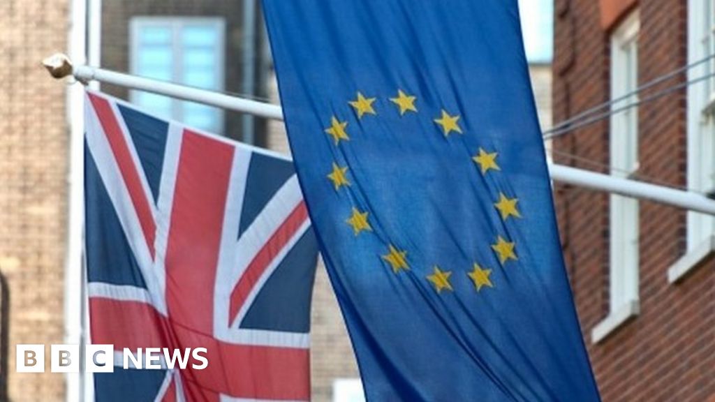 EU referendum - The five key issues explained - BBC News