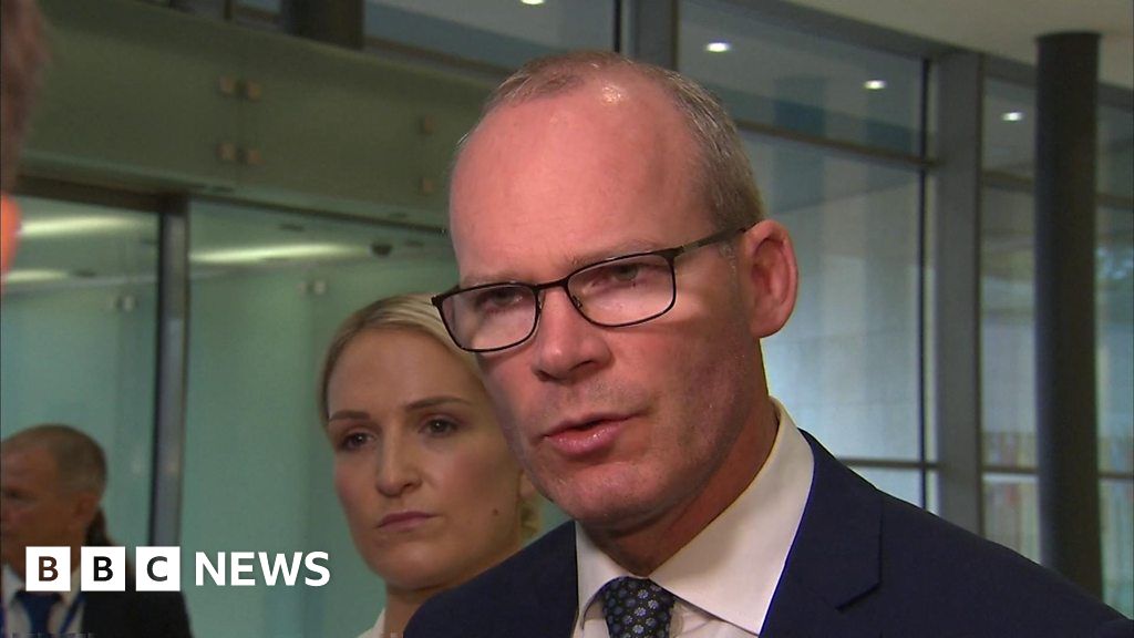 Coveney: 'We need to deal with the facts as we see them' - BBC News