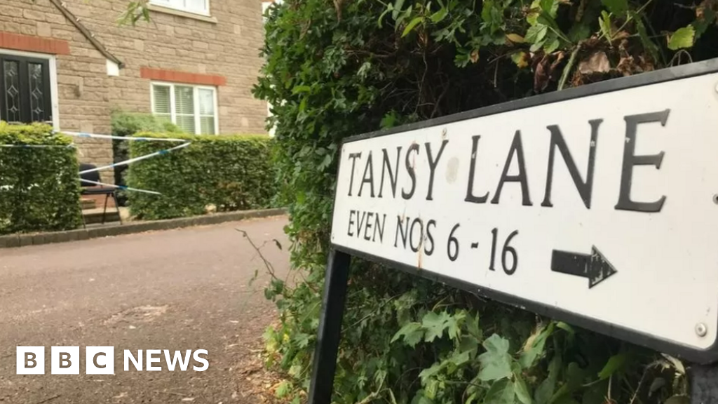 Portishead: Gavin Nash appears in court accused of murder - BBC News