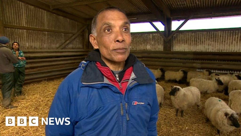 Devon farmer 'too upset' by slaughter gives lambs to Kidderminster ...