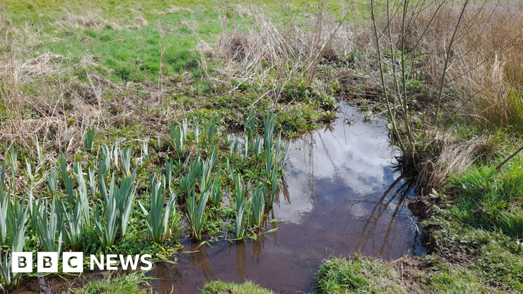 River Sherbourne to be returned to historical route - BBC News