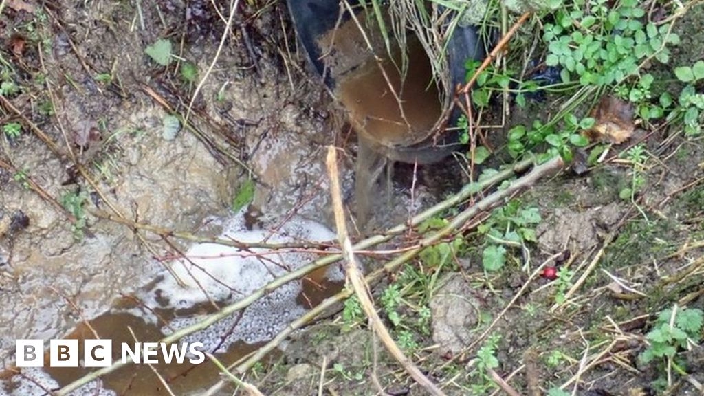 Swindon farmer Andrew Freeston fined for polluting brook - BBC News
