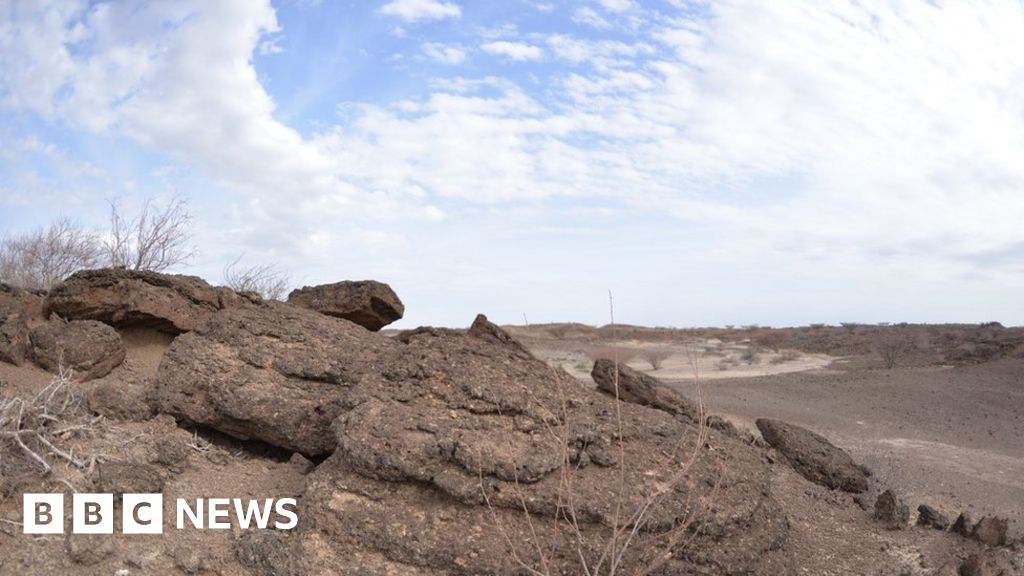 Online fossil hunters to help comb Kenyan desert - BBC News