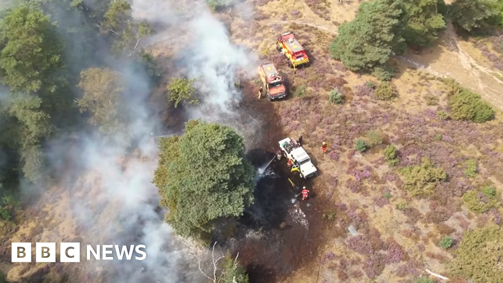Surrey campfire warning after second wildfire in a week