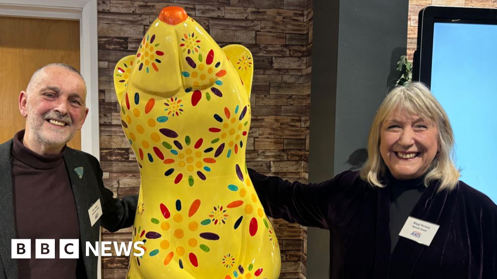 First rat for Hull trail to honour Mick Ronson revealed - BBC News