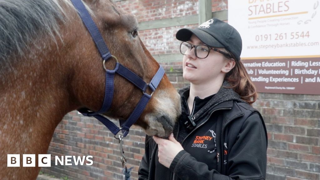 Stepney Bank horse stables youth project saved by funds appeal