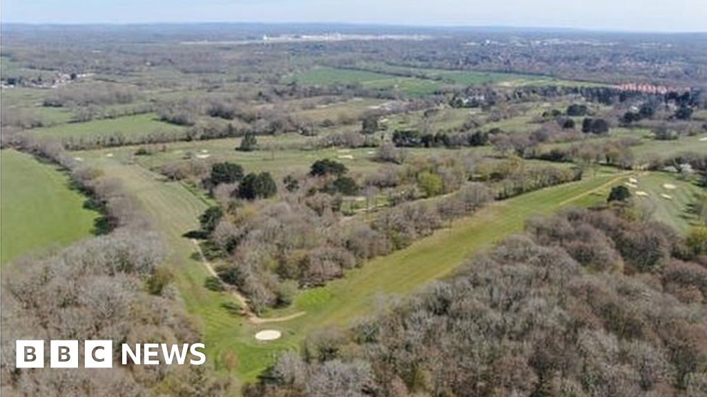 Horsham: Council to apply for county's first green belt area - BBC News