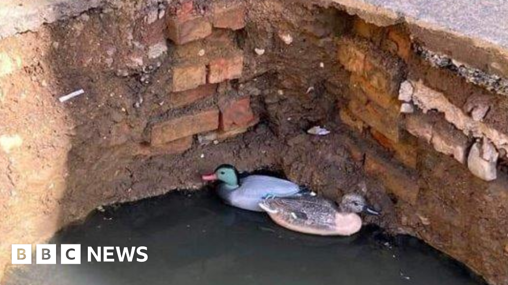 Plastic duck protest over two-month-old hole in Fleckney road