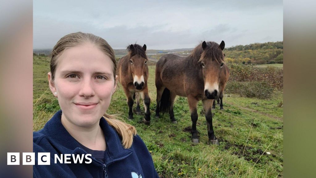 Kent Wildlife Trust's appeal to stop vandals targeting sites