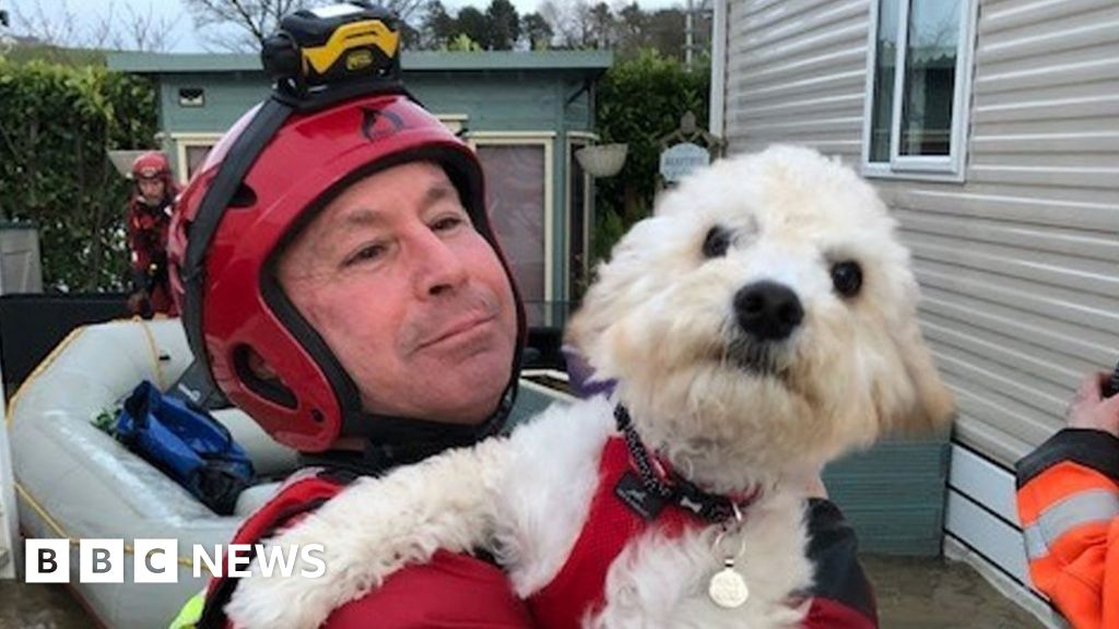 Berkshire Lowland Search and Rescue given cash for equipment - BBC News