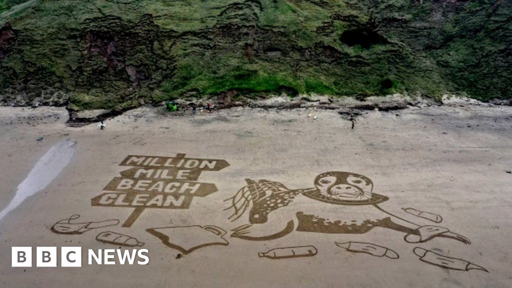 Huge seal sand drawing launches beach clean-up campaign - BBC News