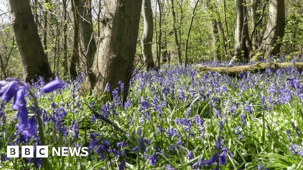 England's Big Picture: 26 April - 2 May - BBC News