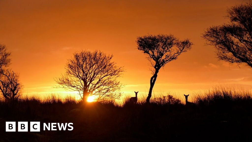 Your pictures of Scotland: 5 - 12 May - BBC News