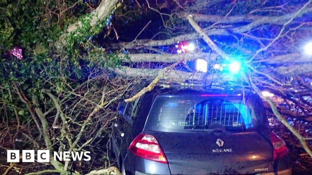 Blowin' in the Wind with Storm Dylan - BBC News