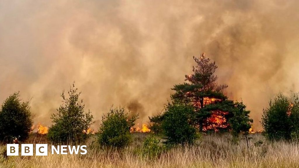 Yateley Common: Raging wildfire forces people to leave homes - BBC News