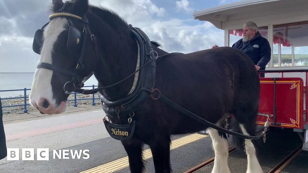 Isle of Man horse tram season launches for 2023