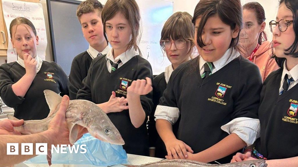 Pupils help create new sustainable Plymouth Fish Finger