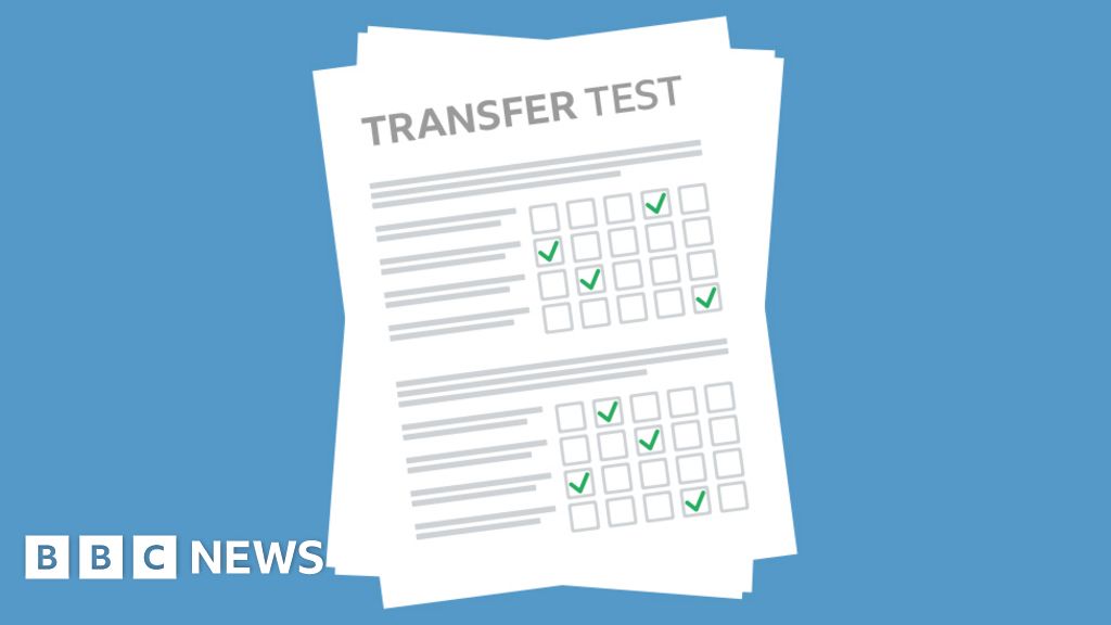 Transfer test: How would you do?