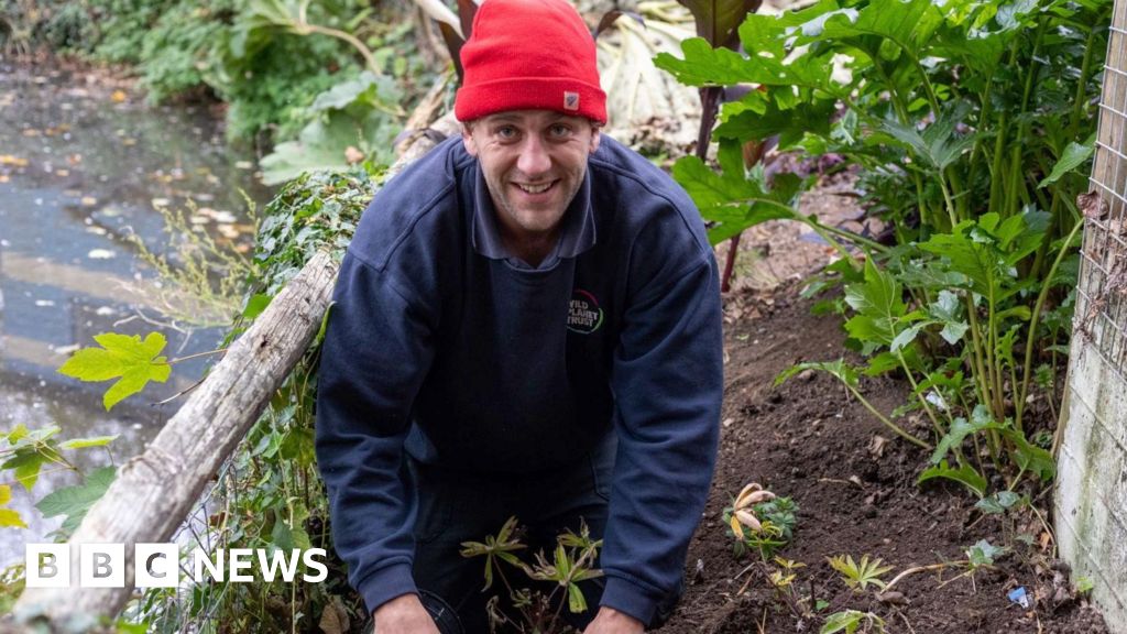 Newquay Zoo wins gold in first try at bloom awards