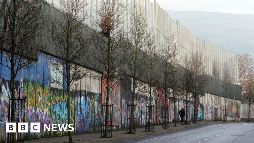 Belfast peace walls 'shock' Brexit chief Verhofstadt