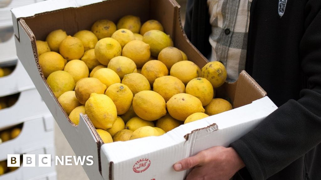 Homes sought for 40,000 'ugly' lemons - BBC News