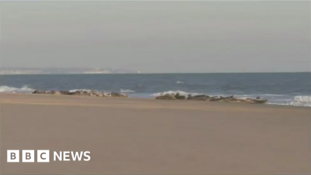 Campaigners fight plans to dredge Goodwin Sands - BBC News