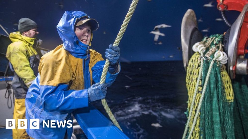 Capturing life on the coast of Britain - BBC News