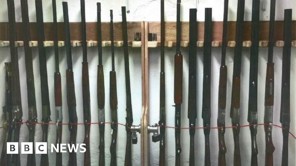 Eighteen shotguns stolen in violent robbery at farmhouse - BBC News