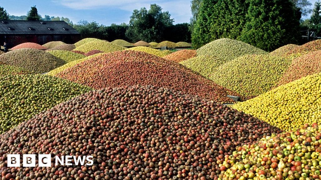 'Maintain protected food and drink status' after Brexit - BBC News