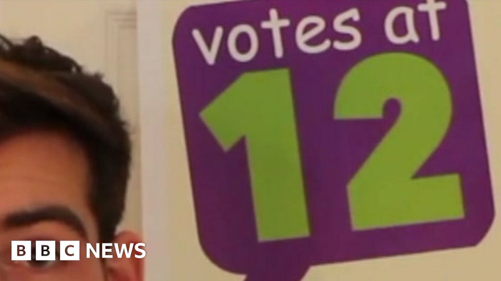Vote for 12 year-olds: Harwood and Preston on child suffrage - BBC News