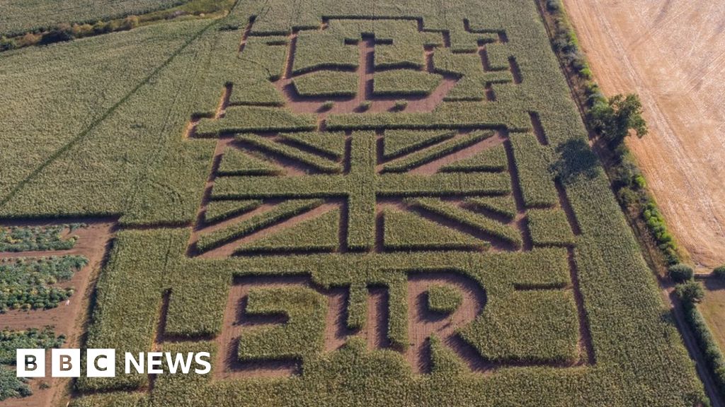 Queen Elizabeth II: Wappenham maze remains to honour monarch - BBC News