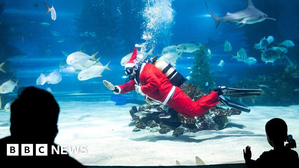 Scuba diving Santa takes a swim with a mermaid - BBC News