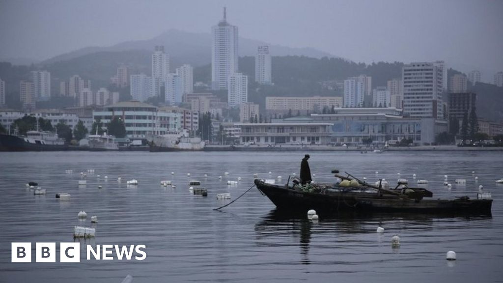 Japanese police quiz 'North Korea defector' - BBC News