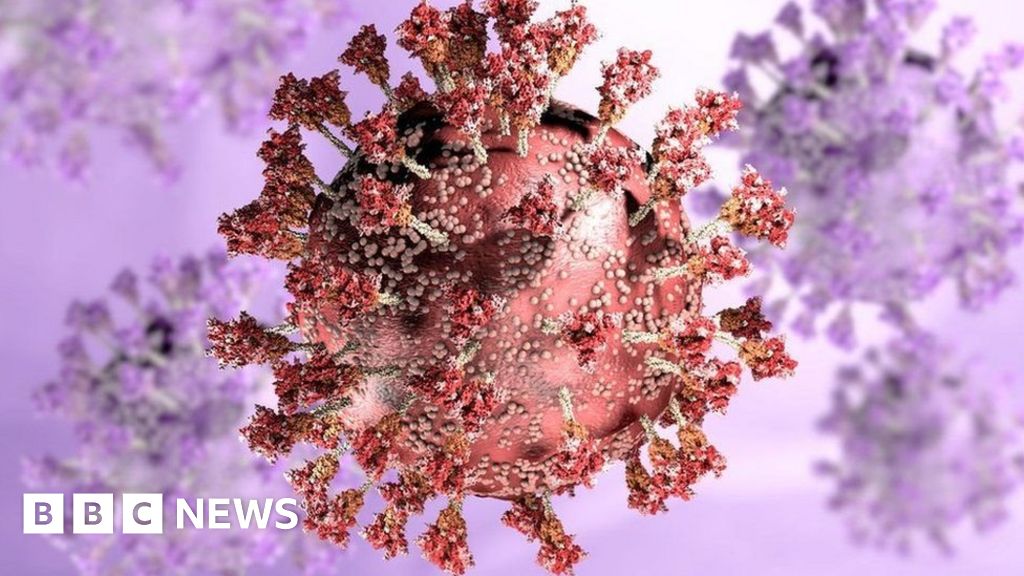 Somerset Omicron cases linked to party