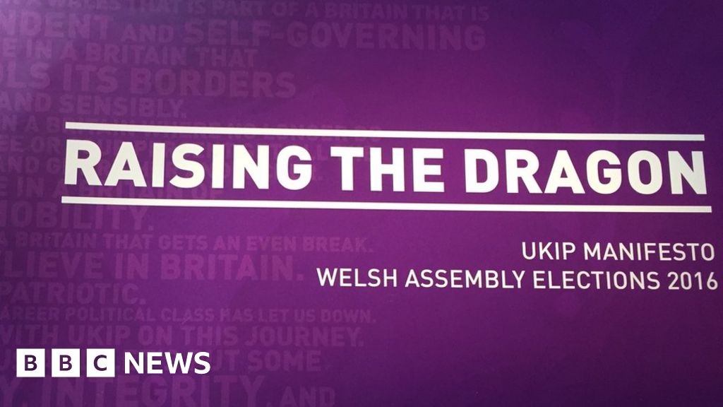 UKIP Wales' manifesto: What's in it? - BBC News