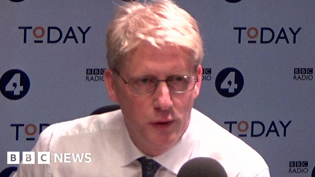Jo Johnson: Brexit 'was a fantasy set of promises' - BBC News