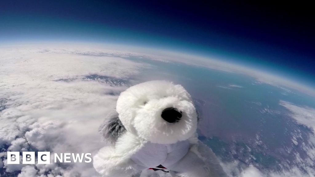 Cuddly toy Sam the dog blasted into stratosphere by schoolchildren ...