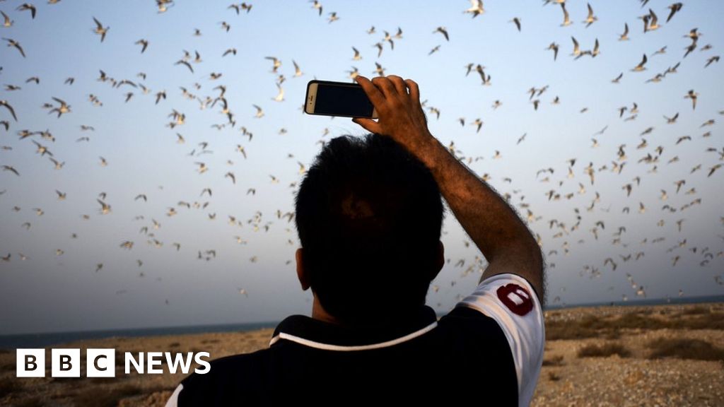 Bahrain 'internet curfew' for village, say activists - BBC News