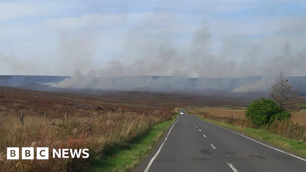 Sheffield: plumes of smoke prompt air quality and wildlife concerns ...