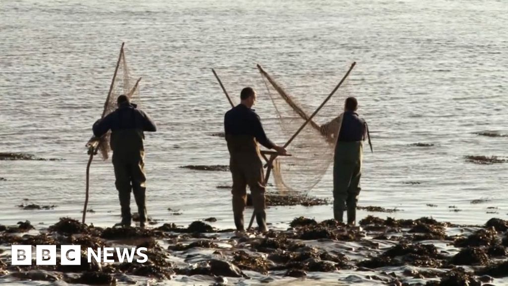 Plastic pollution in Severn estuary a 'crying shame' - BBC News