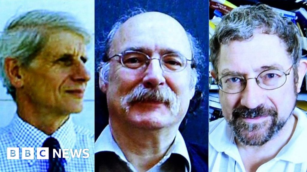 Strange matter wins physics Nobel - BBC News