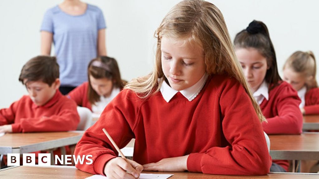 Sats tests: Exam results 'manipulated for political agenda' - BBC News